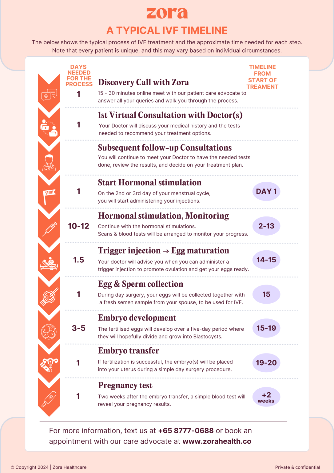 IVF in Singapore: Step‑by‑Step Process & Success Tips